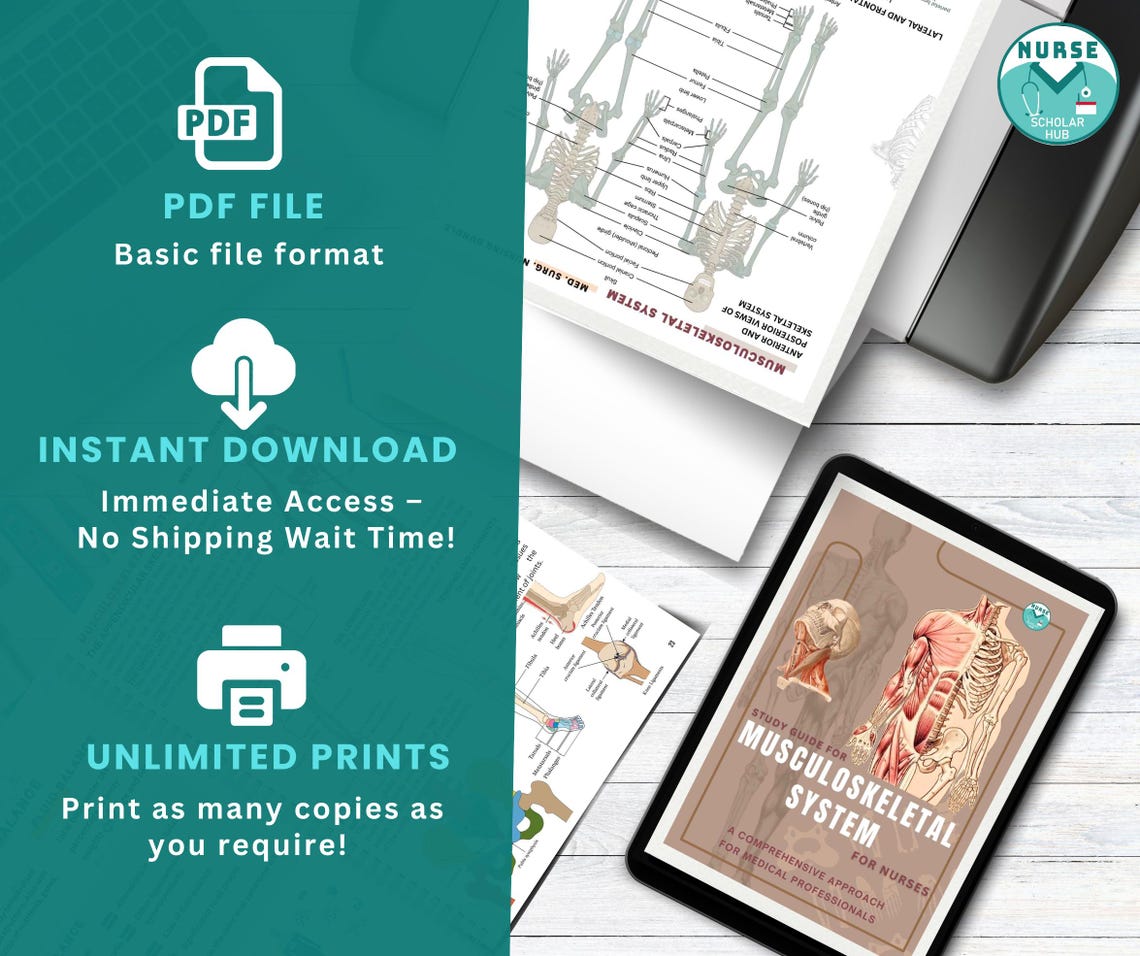 Musculoskeletal System Nursing Study Notes | Anatomy, Physiology, and ...