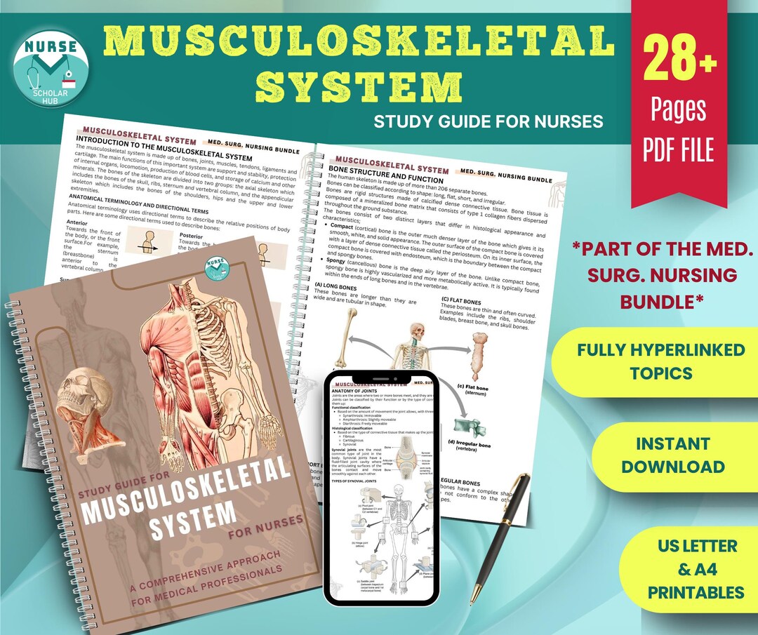 Musculoskeletal System Study Guide for Nurses | Anatomy & Physiology ...
