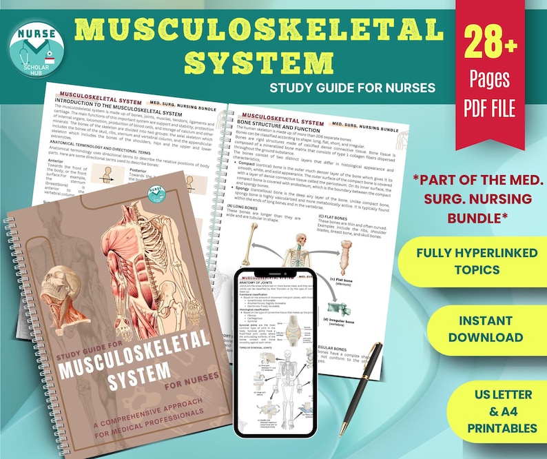 Musculoskeletal System Nursing Study Notes | Anatomy, Physiology, and ...