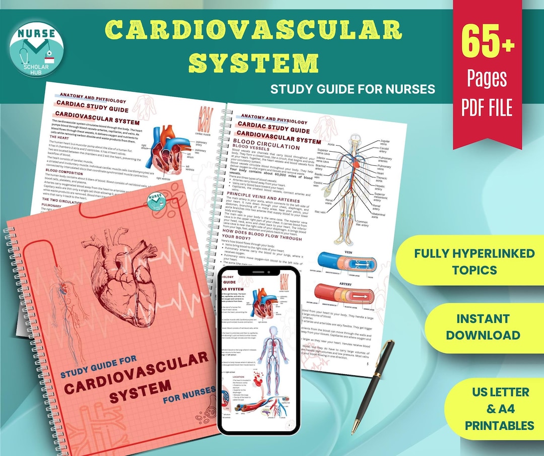 Cardiovascular System Nursing Note Bundle | Heart Anatomy & Cardiac ...