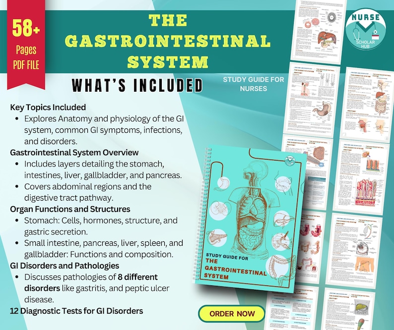 GASTROINTESTINAL SYSTEM Nursing Study Guide | 60+ Page Digestive System ...