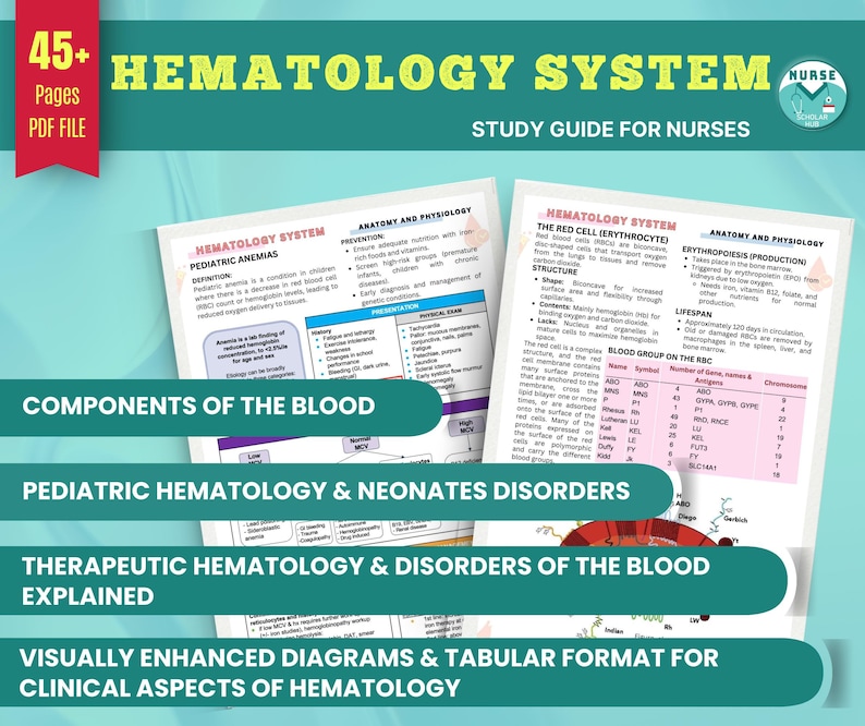 Hematology Nursing Notes Bundle | Blood Disorders, Anatomy & Physiology ...