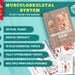 Musculoskeletal System Nursing Study Notes | Anatomy, Physiology, and ...