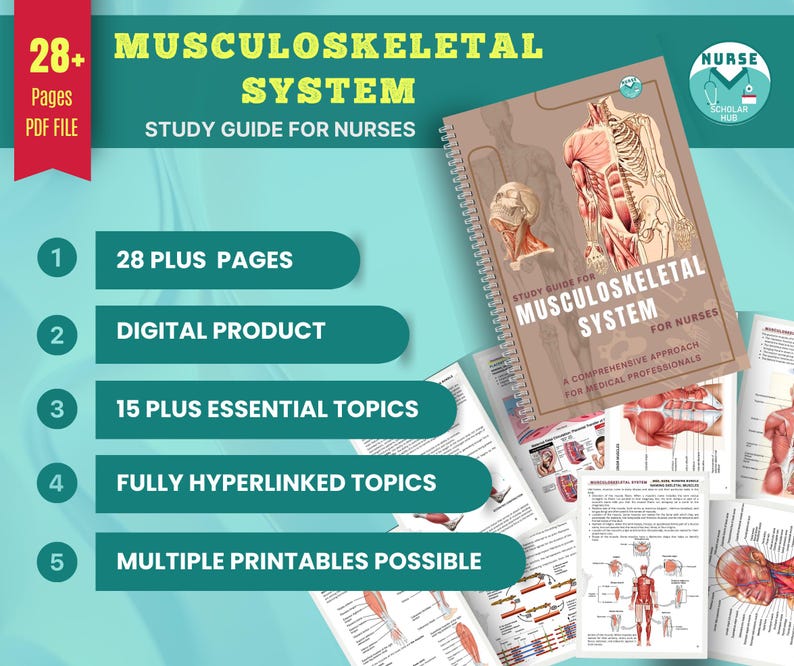 Musculoskeletal System Nursing Study Notes | Anatomy, Physiology, and ...