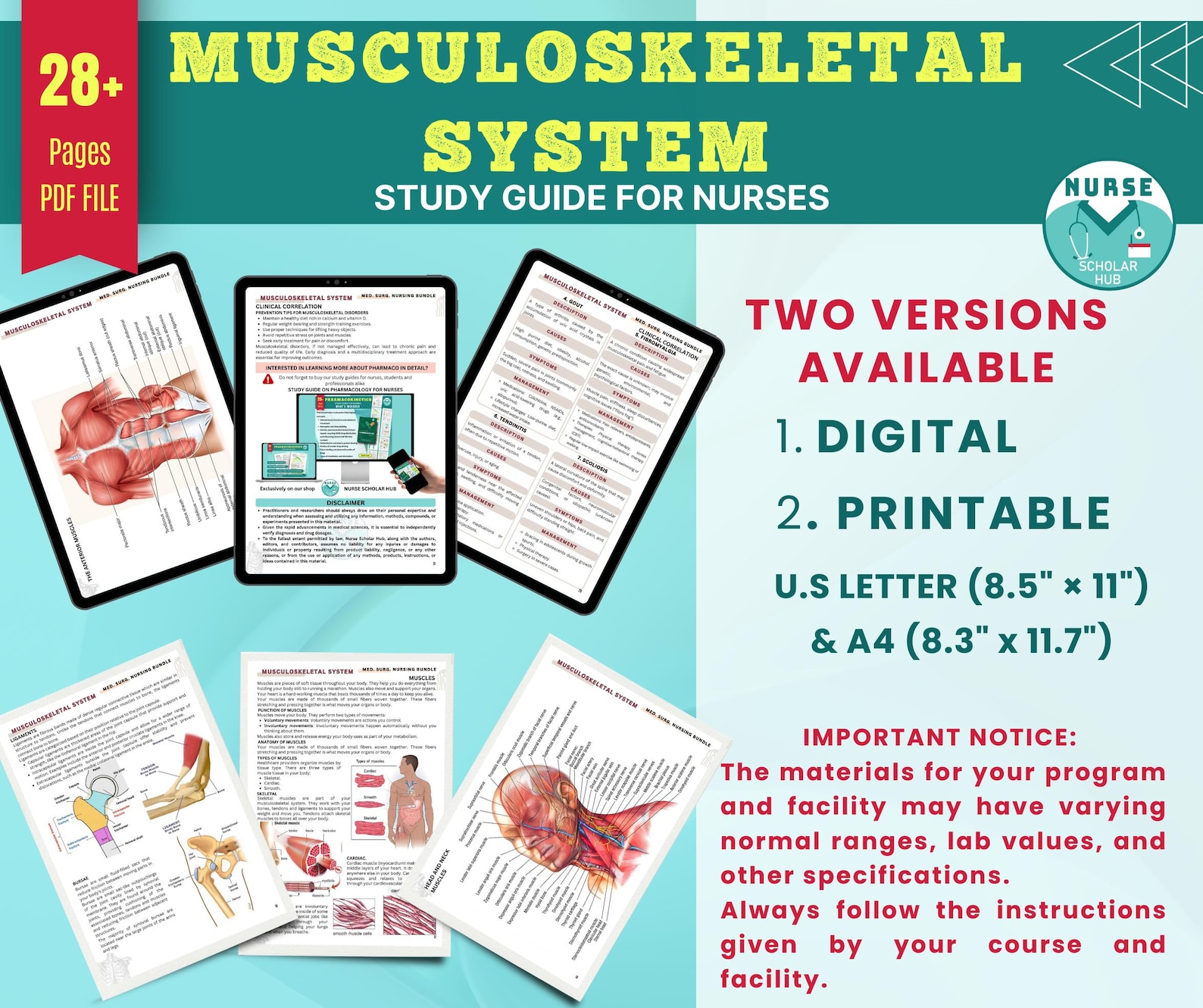 Musculoskeletal System Nursing Study Notes | Anatomy, Physiology, and ...