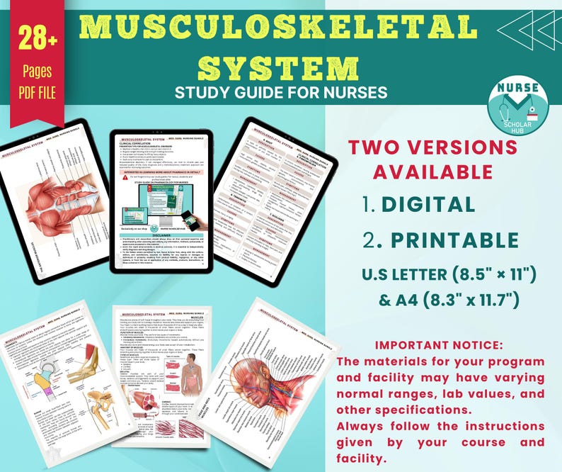 Musculoskeletal System Nursing Study Notes | Anatomy, Physiology, and ...