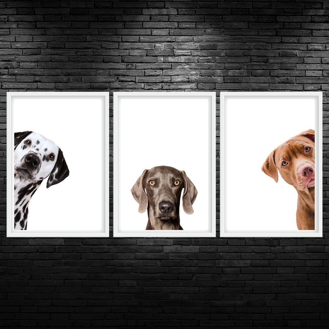 Peeking Dogs Color Digital Vet Art Printable Wall Art Veterinary Clinic ...