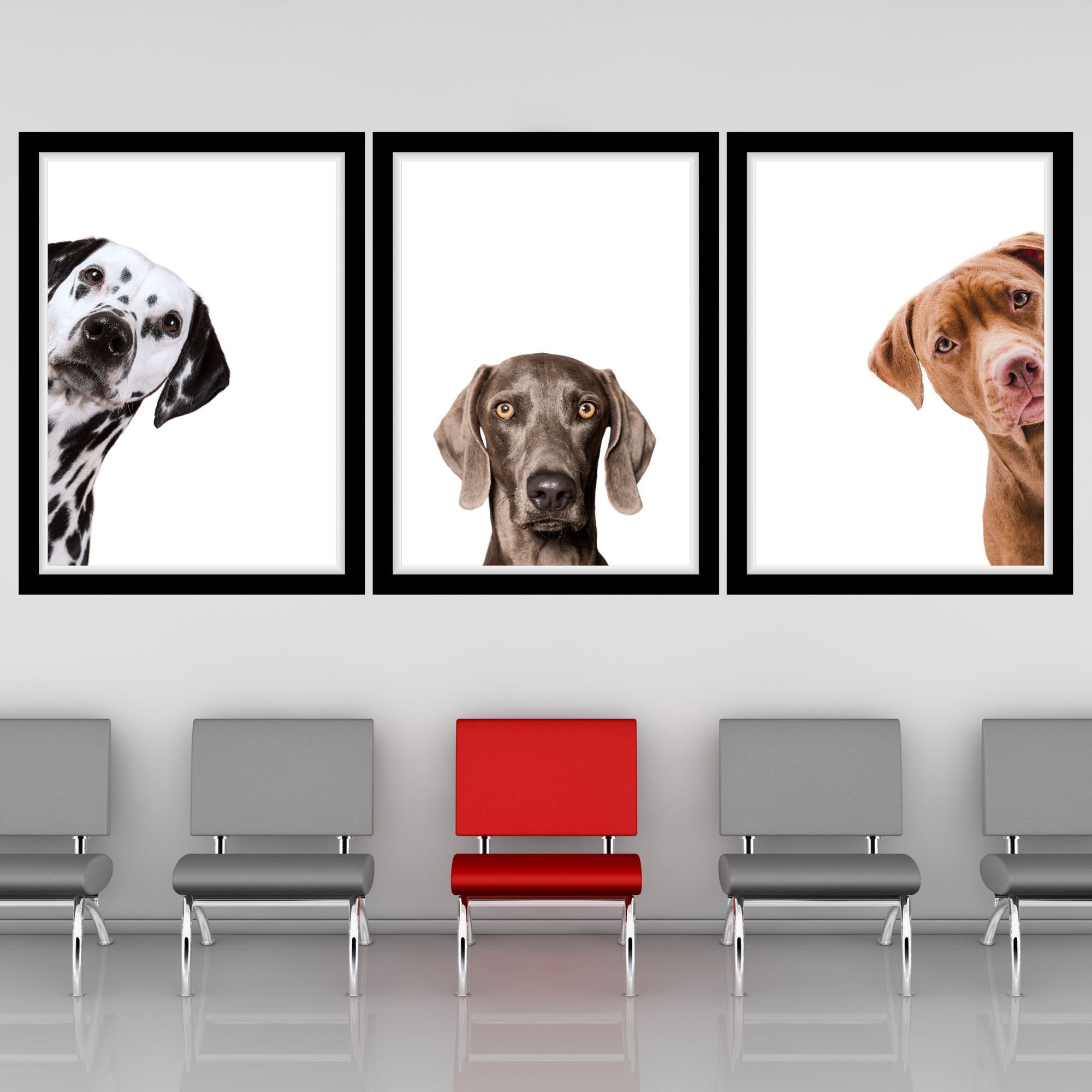 Peeking Dogs Color Digital Vet Art Printable Wall Art Veterinary Clinic ...