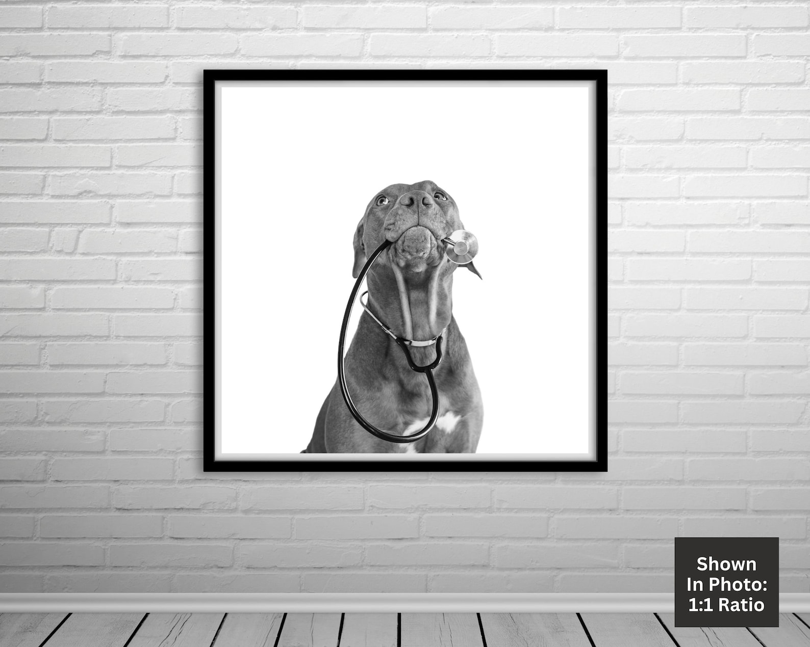 Dog Doctor Printable Wall Art Pet Portrait Veterinarian Clinic Decor ...