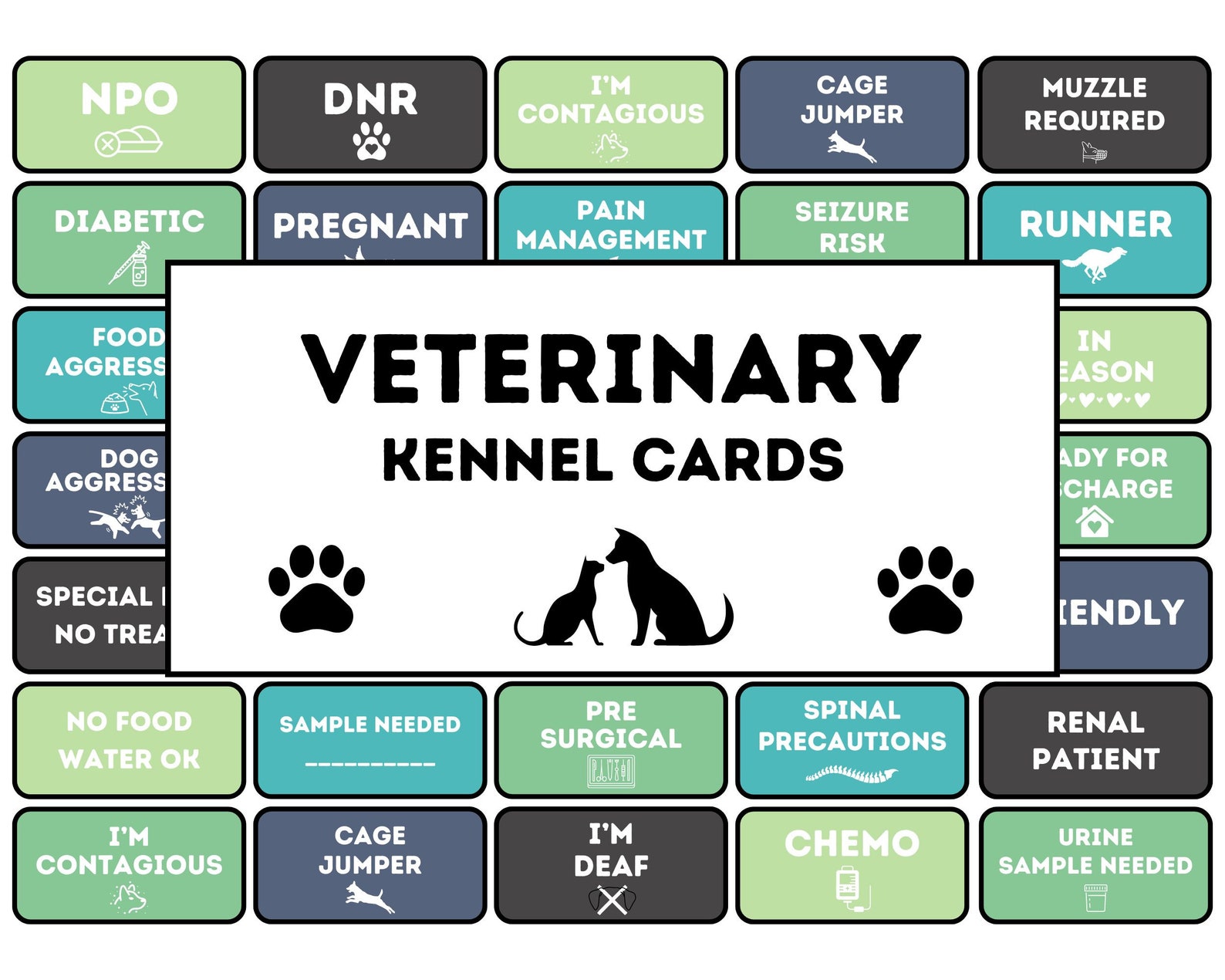 Green Veterinary Cage Cards Printable Kennel Cards Veterinarian Cage ...