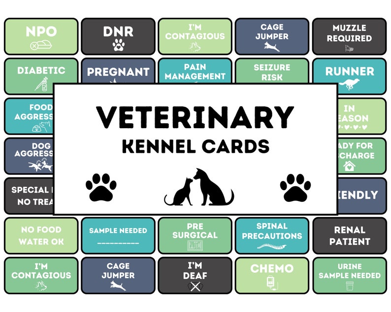 Green Veterinary Cage Cards Printable Kennel Cards Veterinarian Cage ...