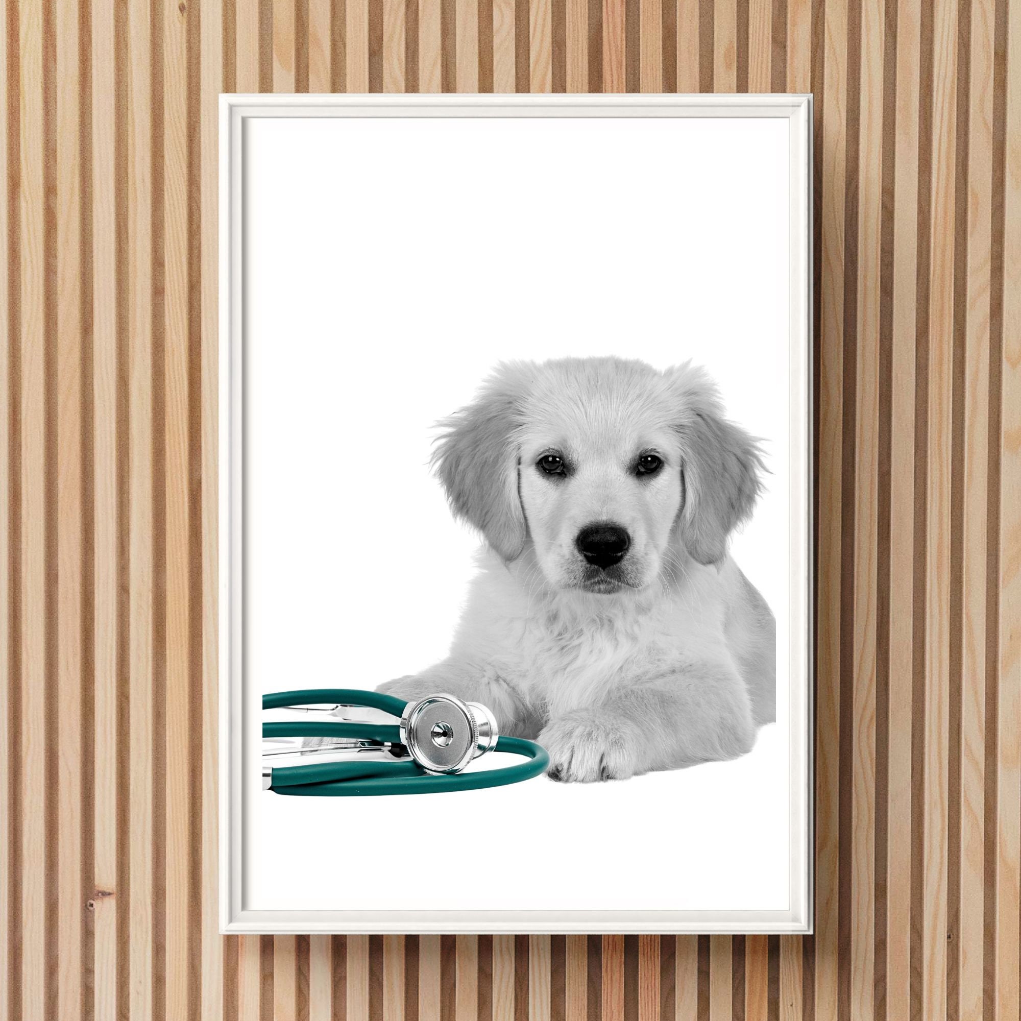 Puppy Stethoscope Color Pop Printable Wall Art Vet Stethoscope ...