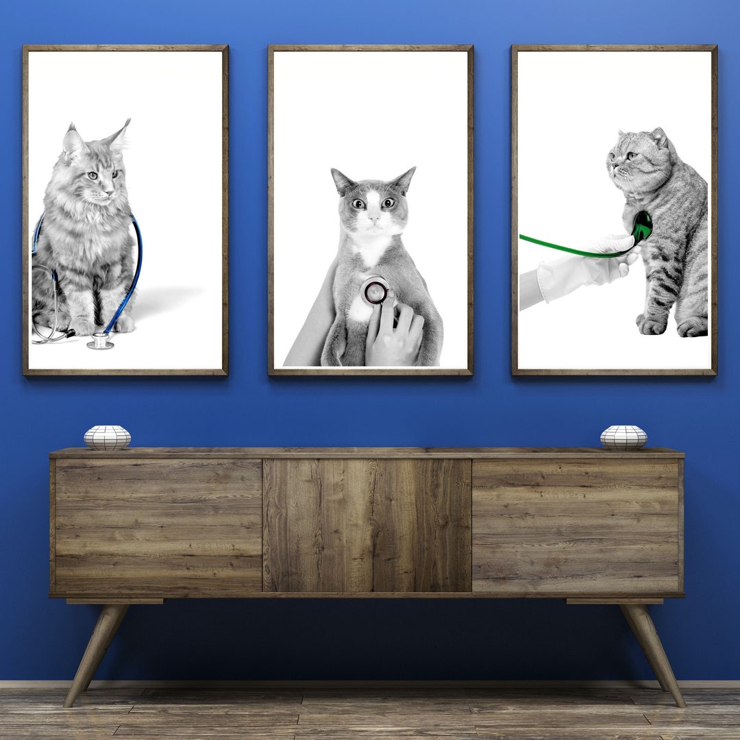 Cat Check up Color Pop Printable Wall Art Cat Veterinary Clinic Wall ...