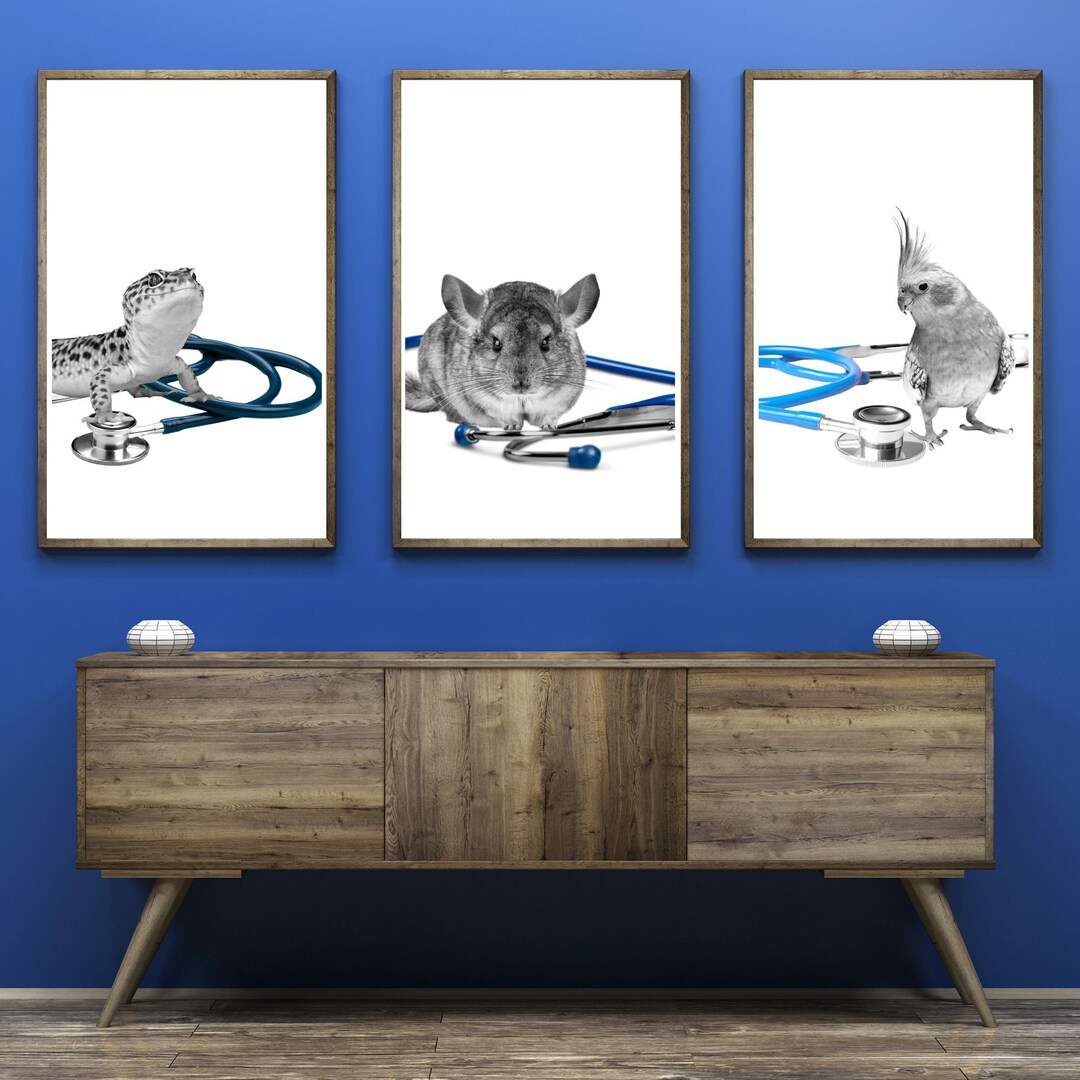 Tiny Pet Stethoscope Printable Wall Art Exotic Pet Veterinary Office ...