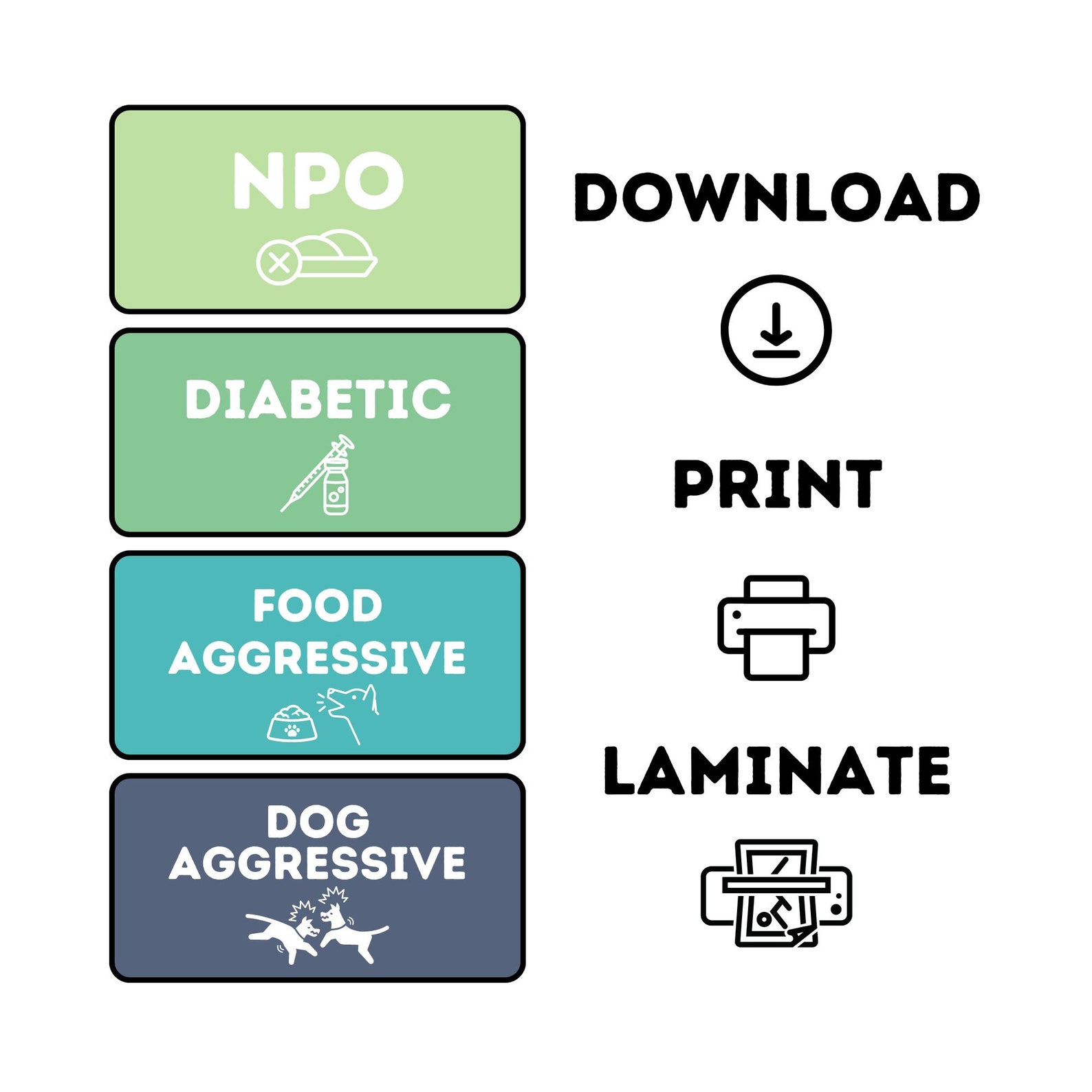 Green Veterinary Cage Cards Printable Kennel Cards Veterinarian Cage ...