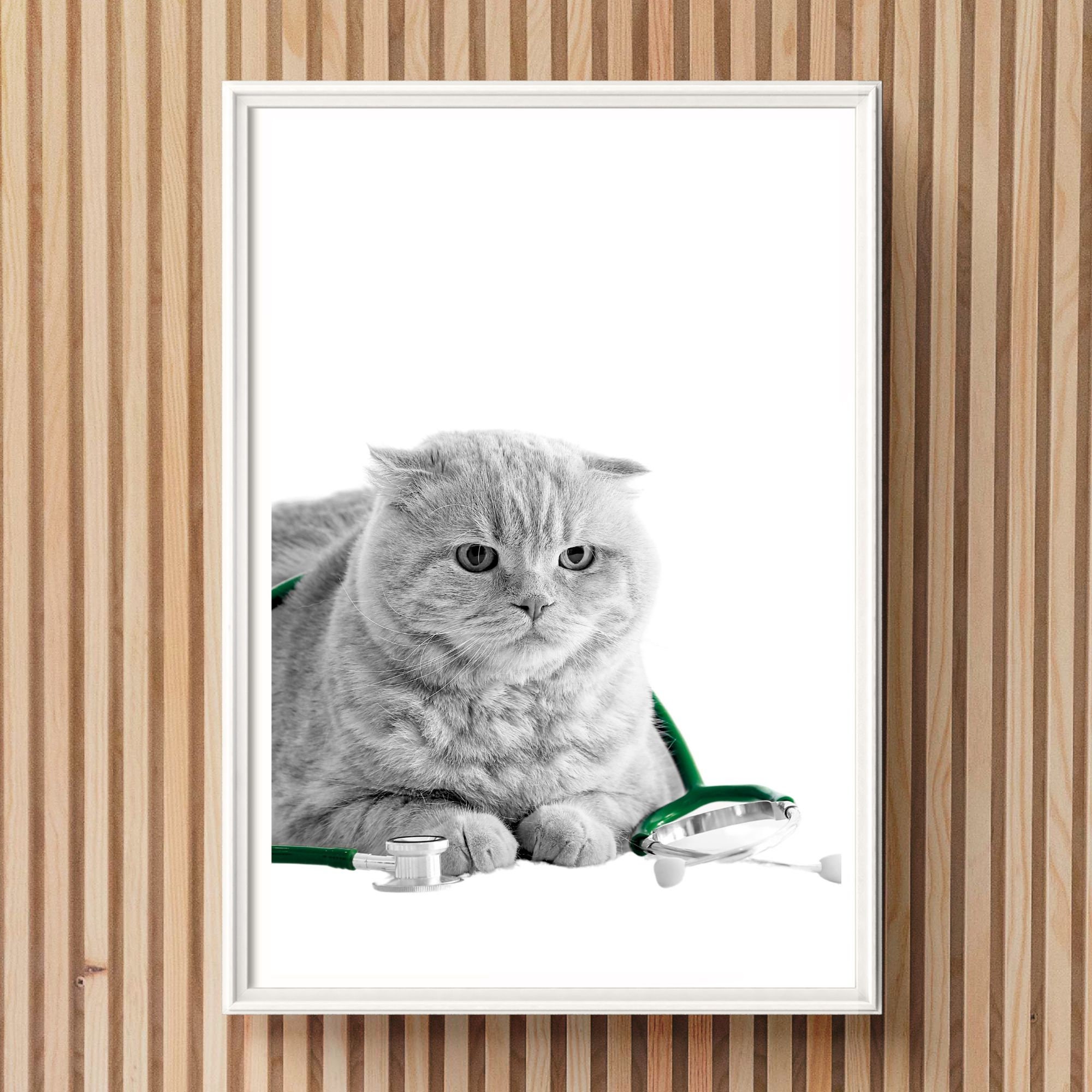 Cat Stethoscope Color Pop Printable Wall Art Cat Veterinary Clinic Wall ...