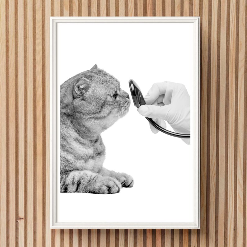 Pet Stethoscope Vet Med Printable Wall Art Dog and Cat Veterinary ...