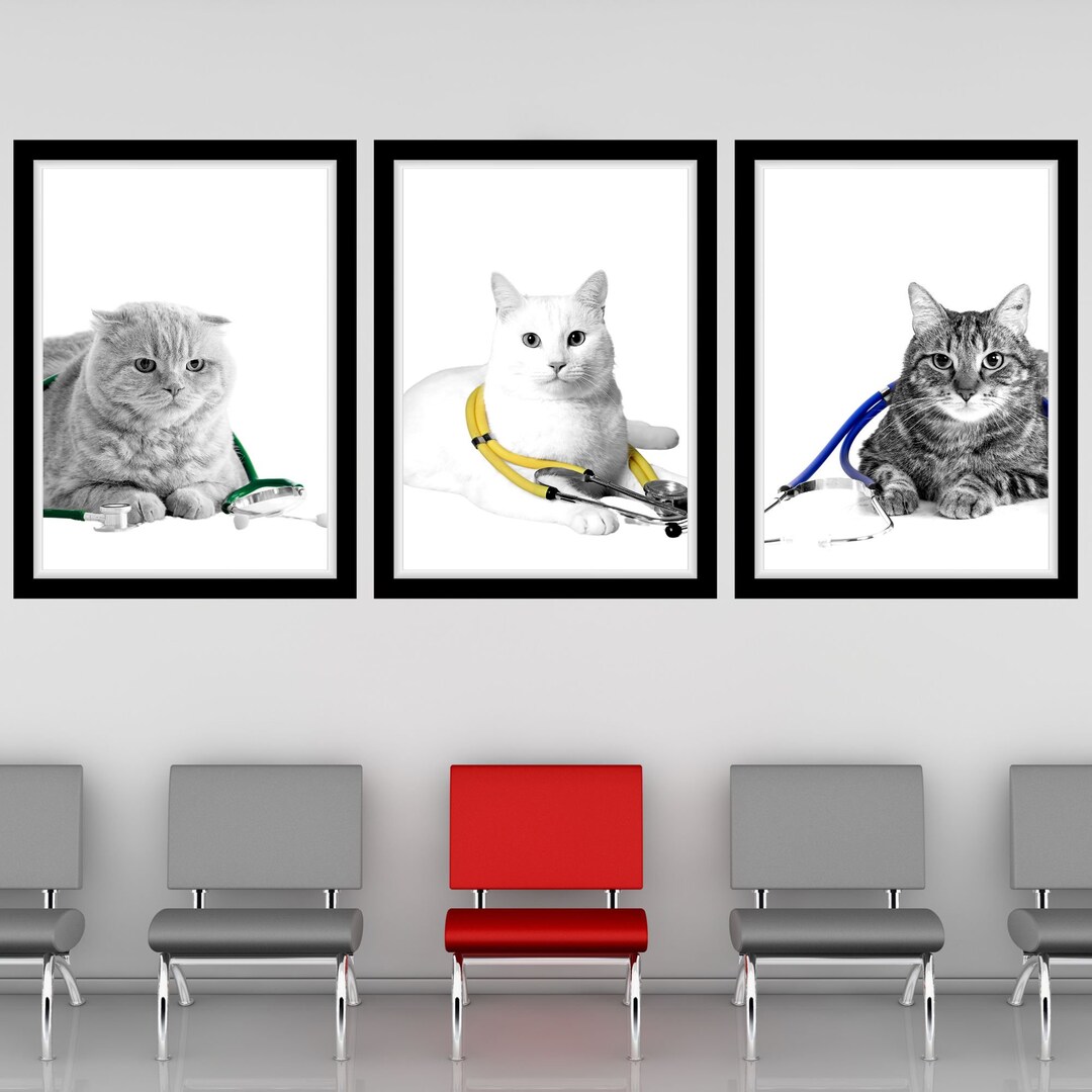 Cat Stethoscope Color Pop Printable Wall Art Cat Veterinary Clinic Wall ...