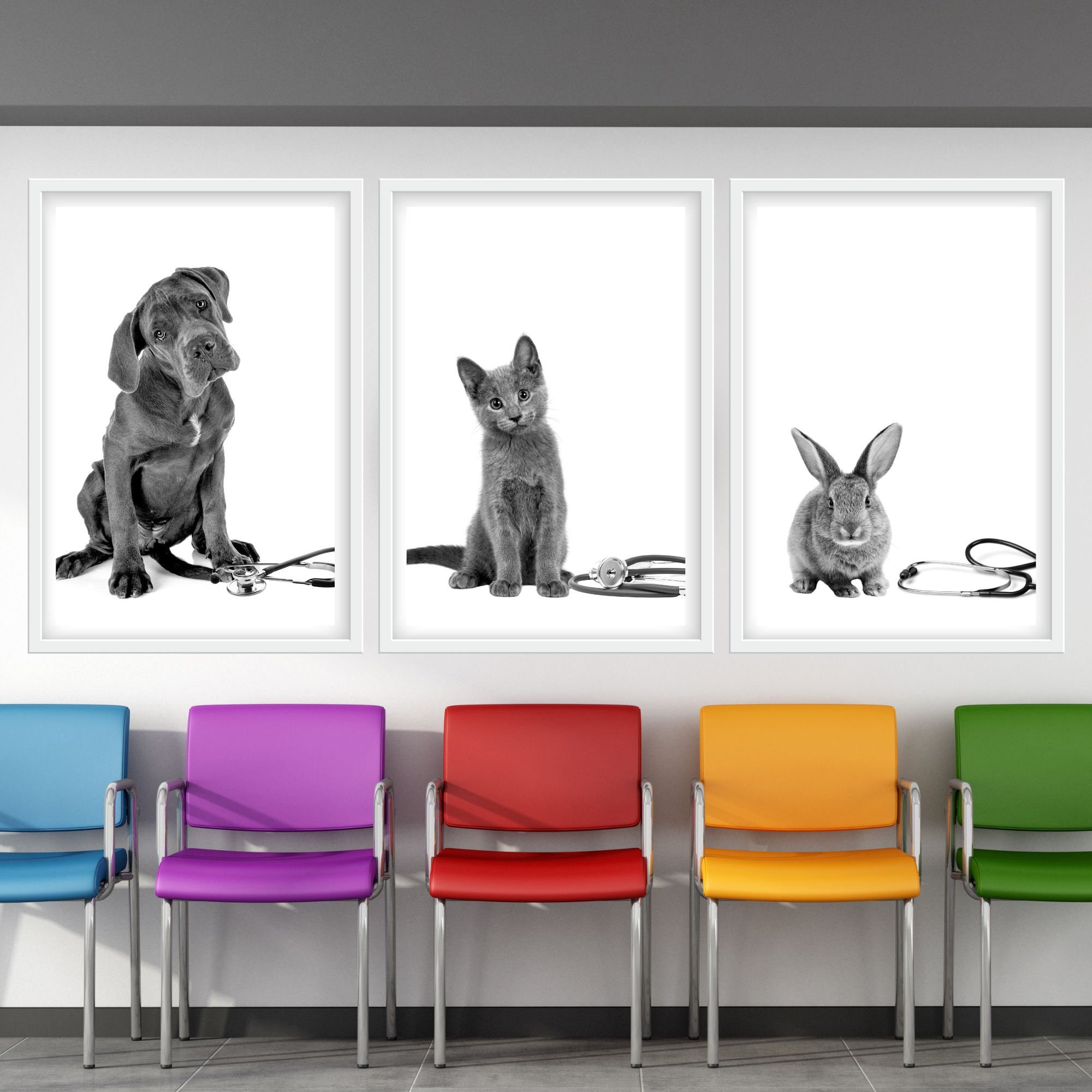 Curious Pet Stethoscope Trio Printable Wall Art Big and Small Pet Vet ...