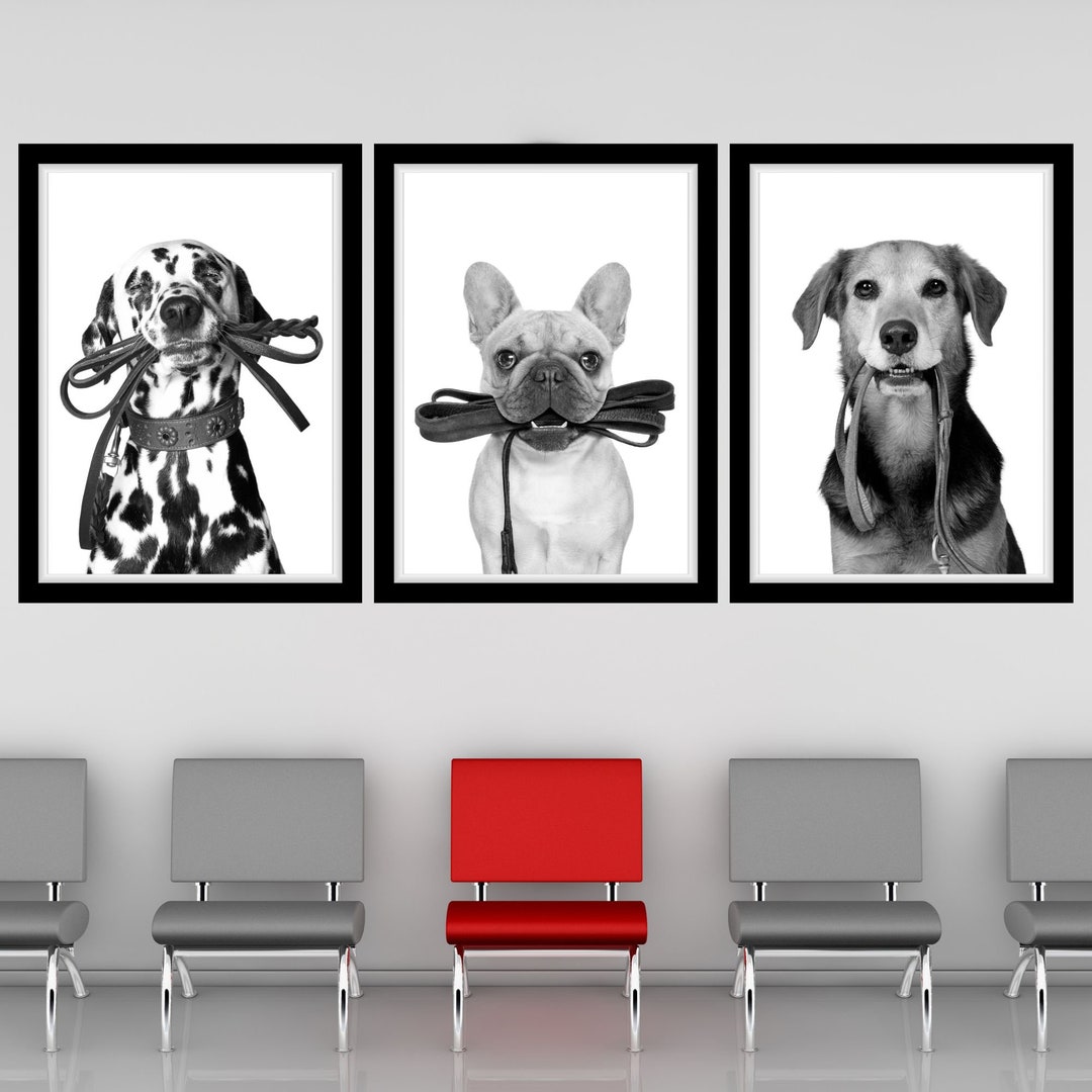 Dog Leash Trio Printable Wall Art Dog Vet Practice Poster Dog ...