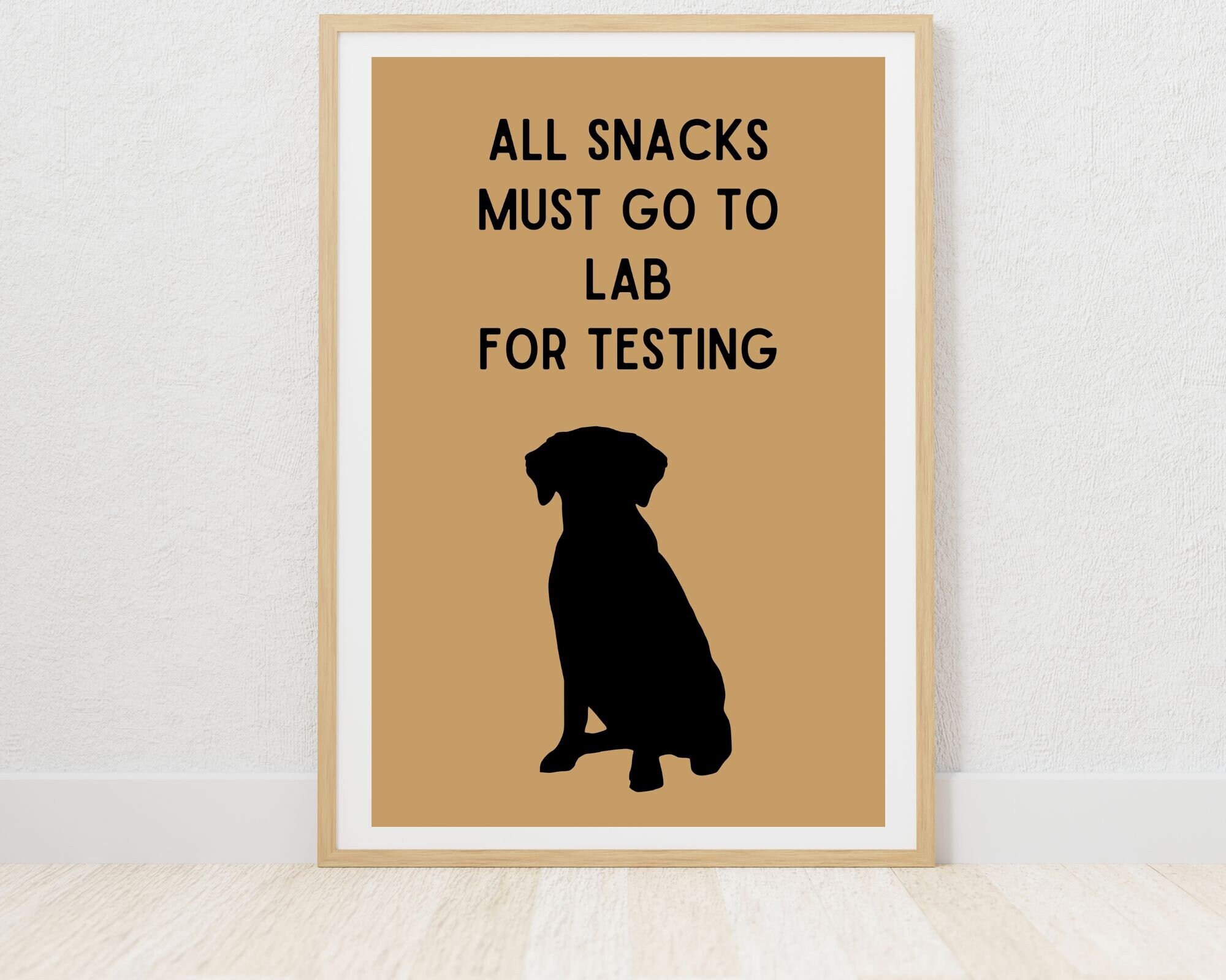 Funny Black Lab Quote Printable Wall Art Veterinary Office Decor Funny ...