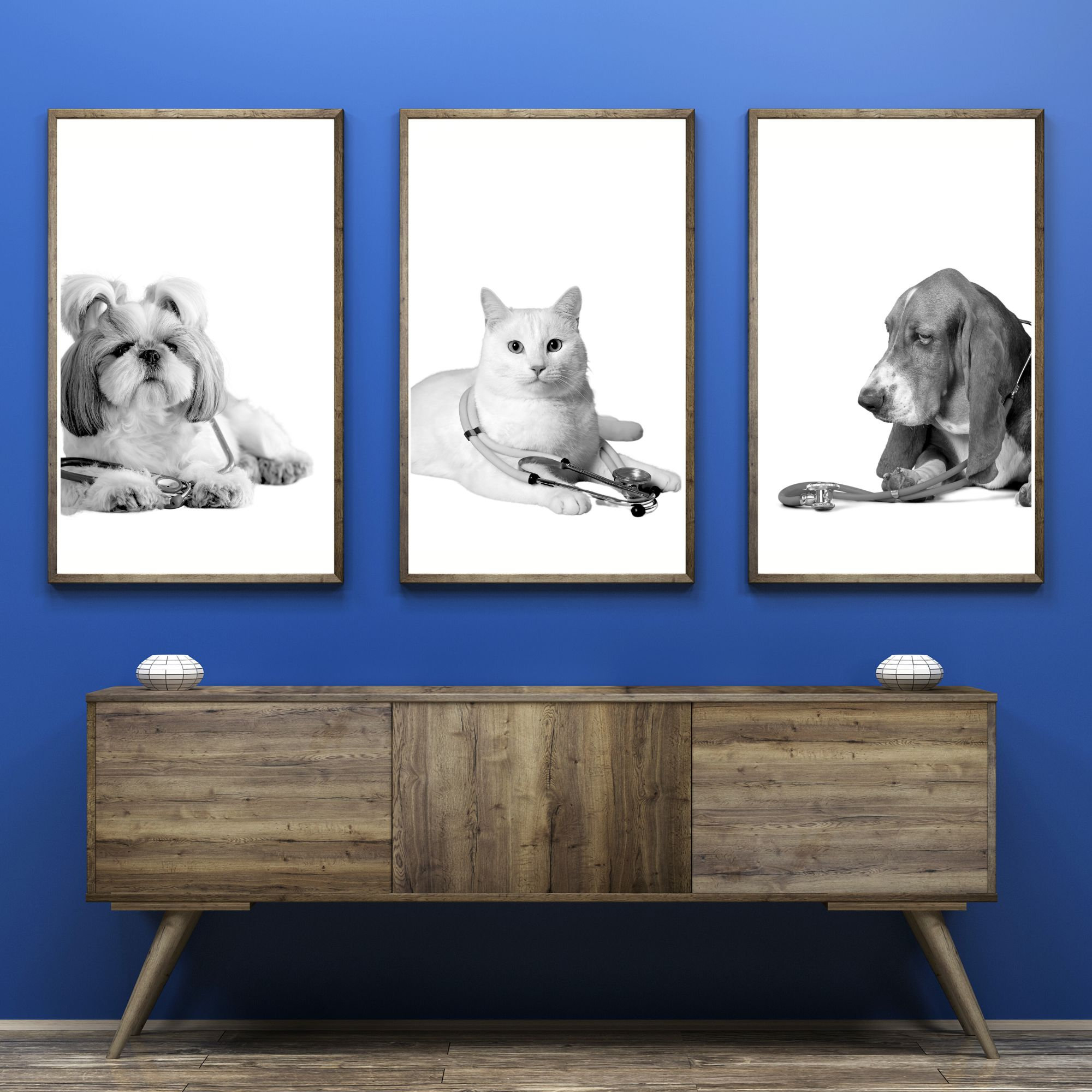 Doctor Pets Printable Wall Art Pet Stethoscope Wall Art Vet Stethoscope ...
