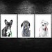 Dog Doctor Printable Wall Art Pet Portrait Veterinarian Clinic Decor ...