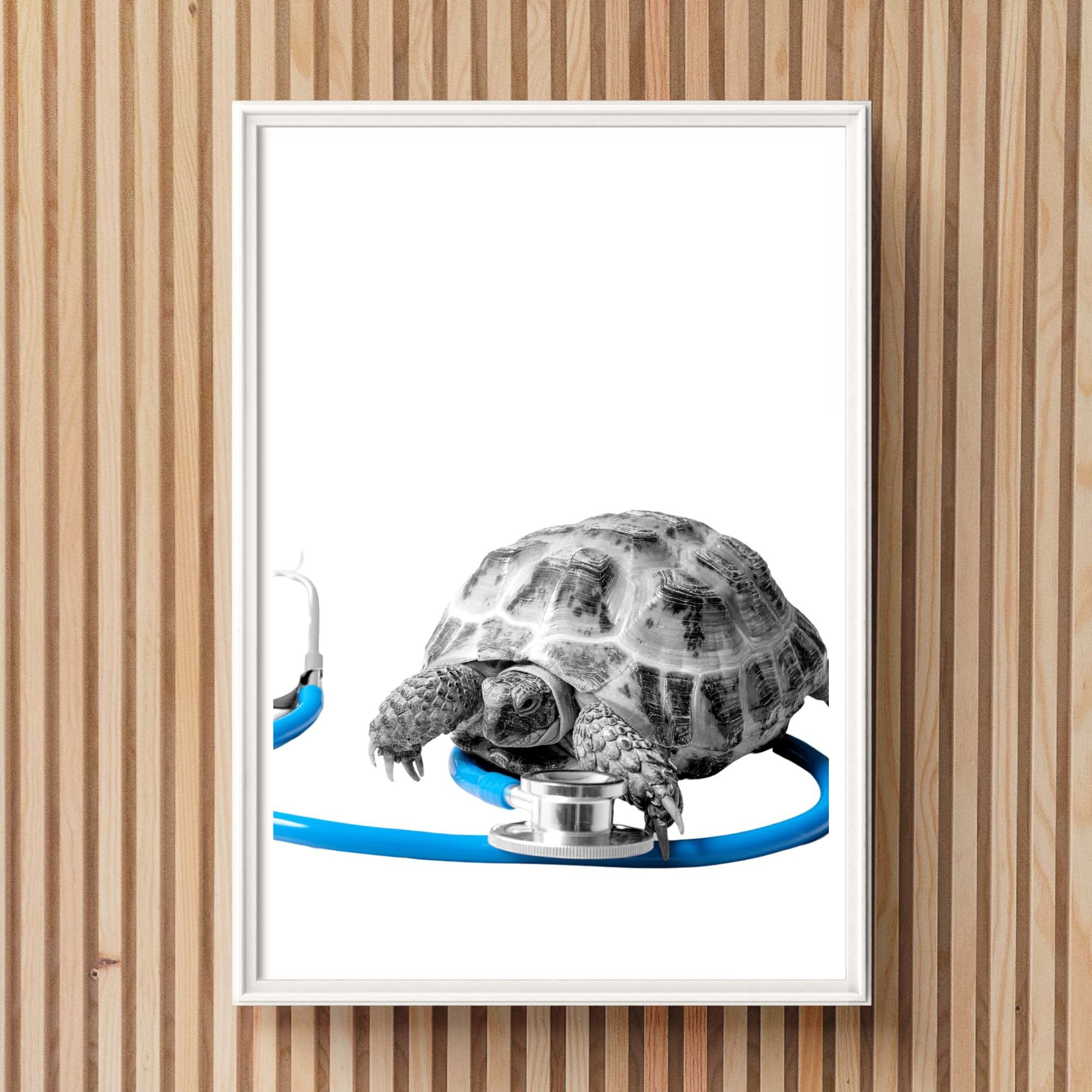 Small Pet Vet Trio Color Pop Printable Wall Art Small Pet Veterinary ...