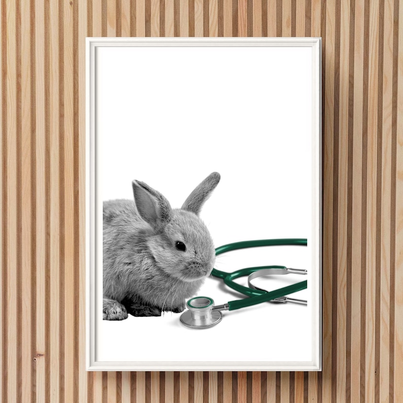 Small Pet Vet Trio Color Pop Printable Wall Art Small Pet Veterinary ...