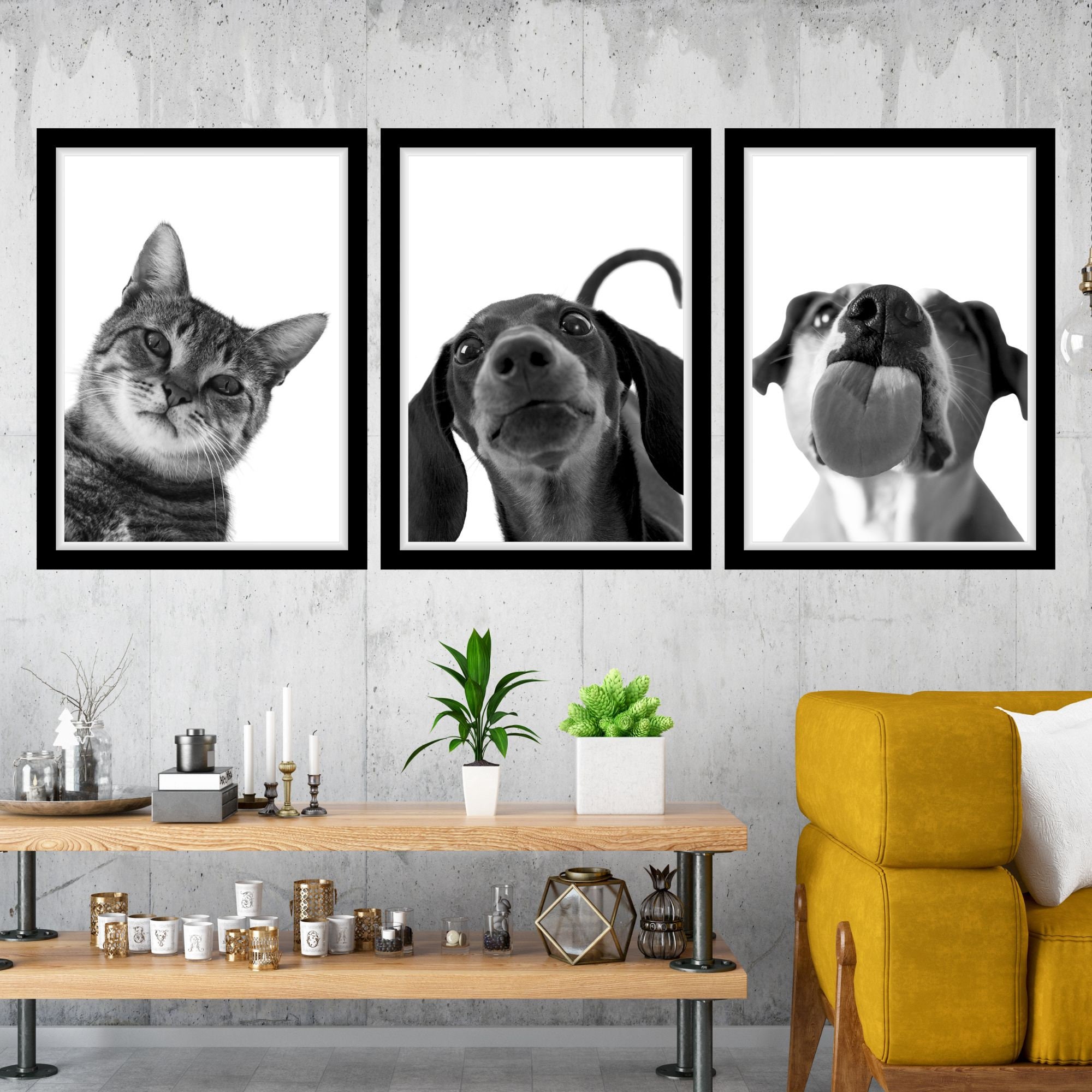 Funny Dog and Cat Portrait Printable Wall Art Funny Vet Clinic Art ...