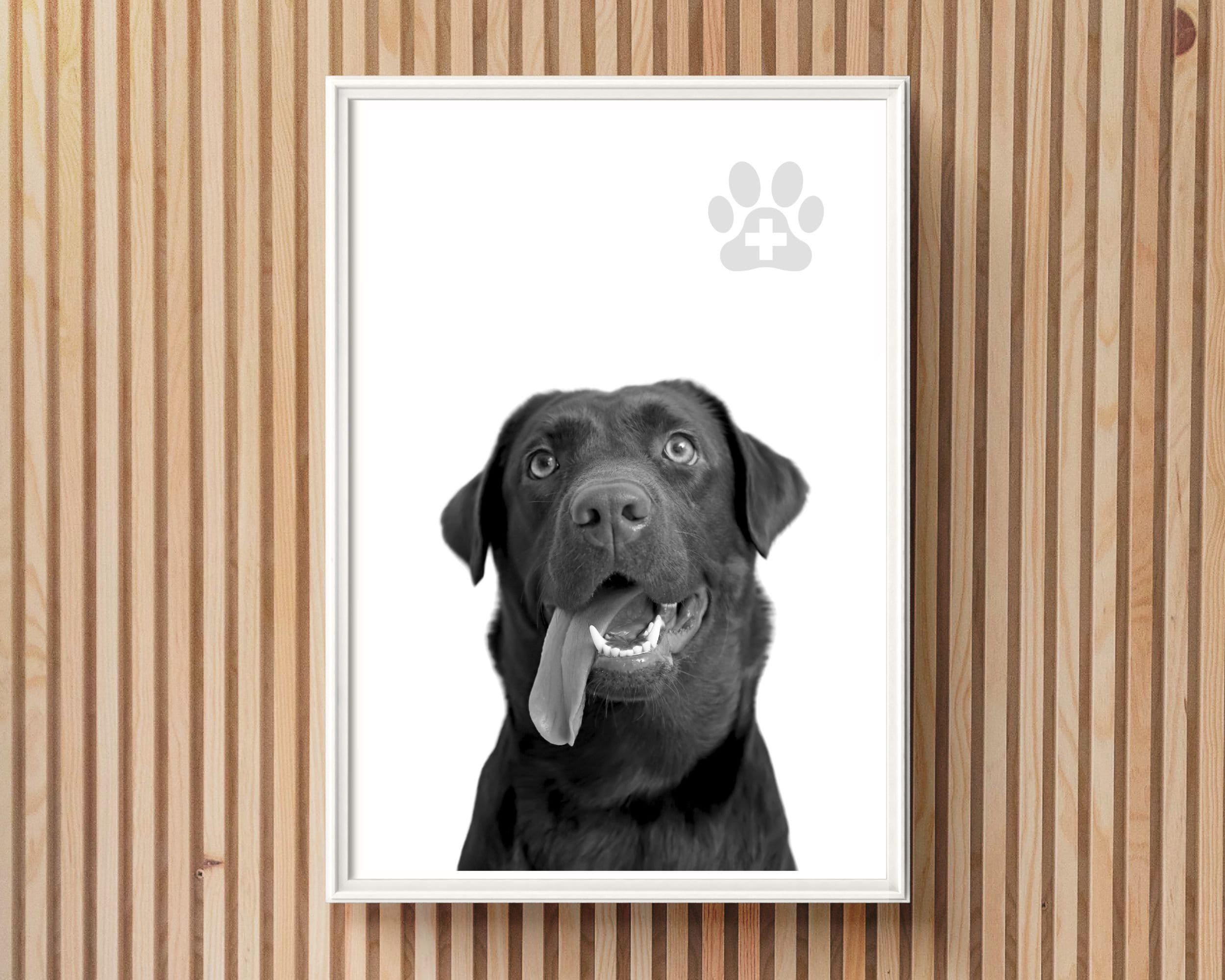 Dog Portrait Vet Printable Wall Art Veterinary Clinic Art Digital Dog ...
