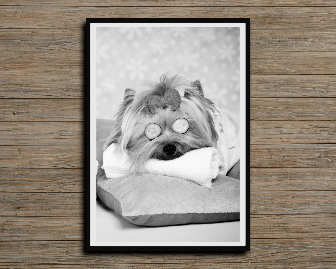 Yorkie Spa Dog Printable Wall Art Spa Animal Wall Art Cute Yorkie Wall ...
