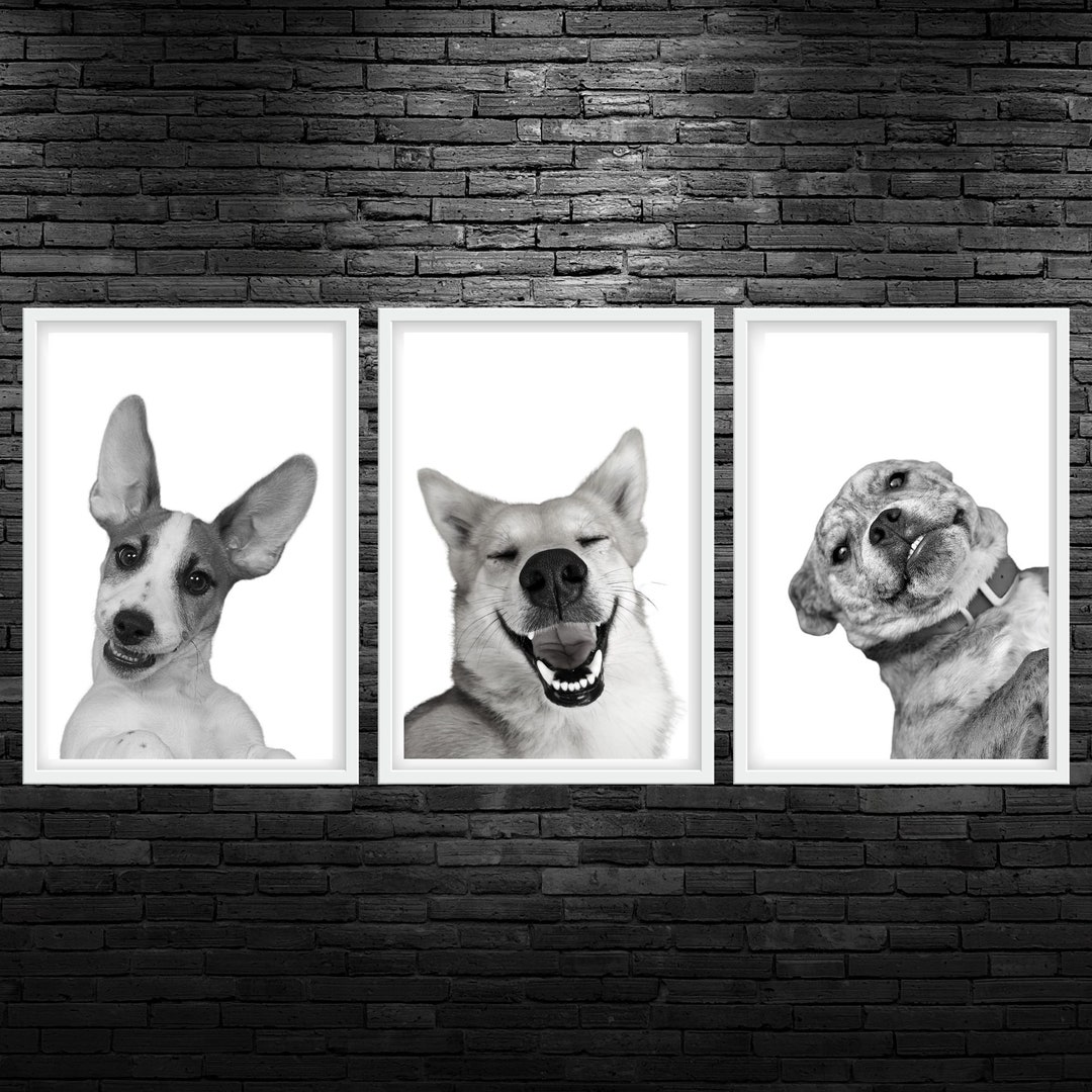 Silly Dog Trio Printable Wall Art Funny Dog Veterinary Medicine Wall ...
