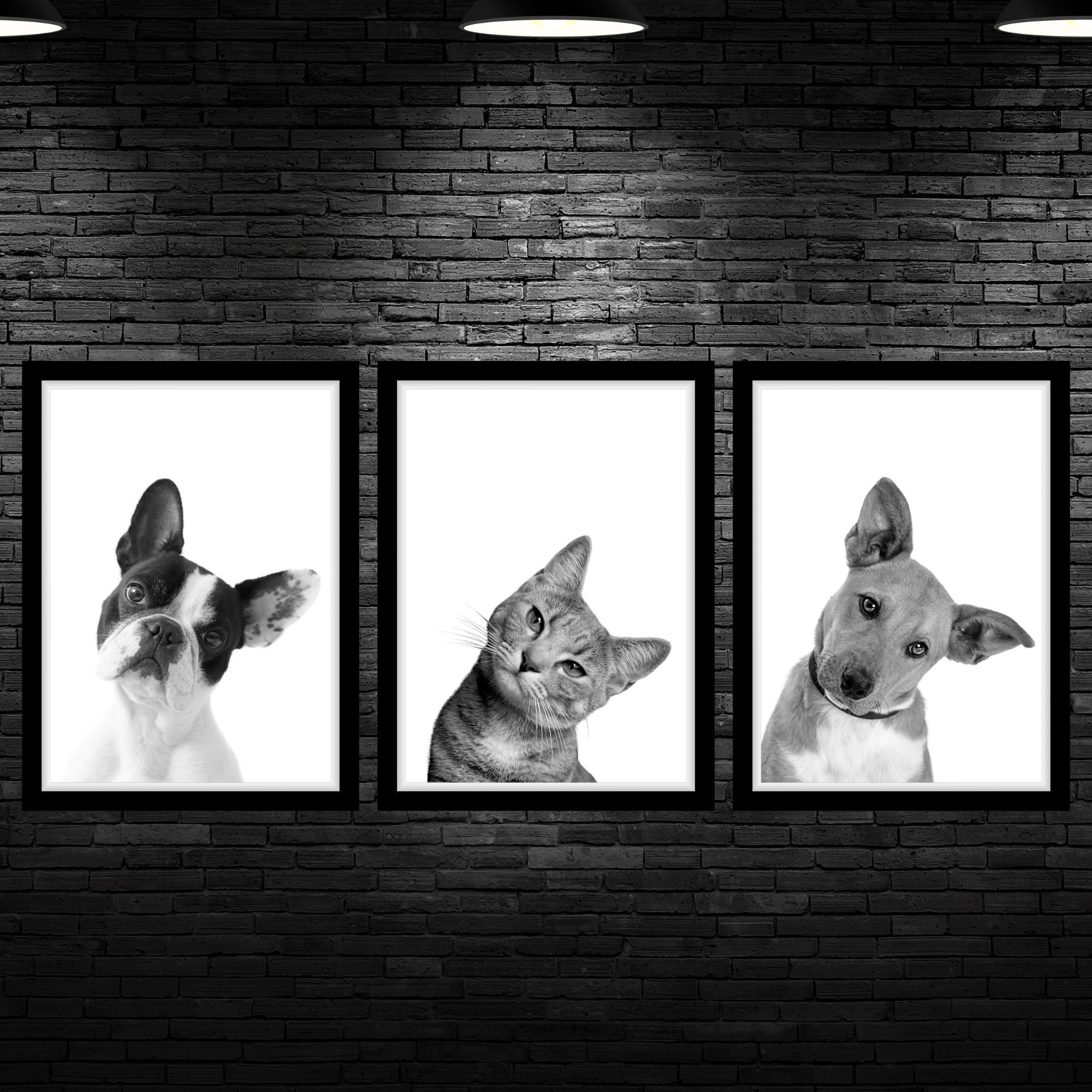 Pet Portrait Head Tilt Printable Wall Art Veterinary Clinic Wall Art ...