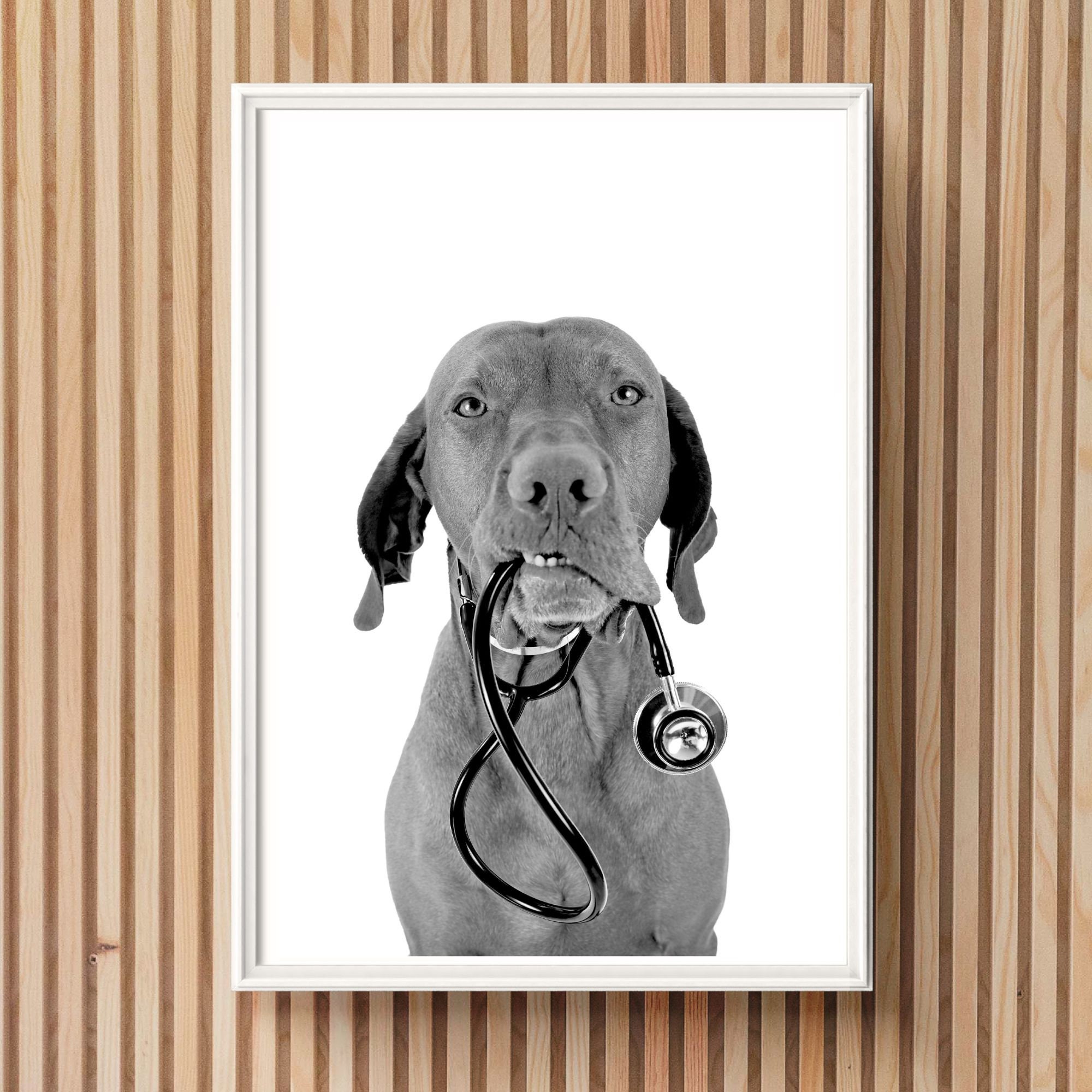 Dogs With Stethoscopes Printable Wall Art Dog Vet Med Wall Art Digital ...