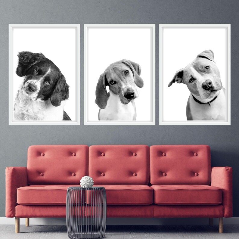 Curious Dog Head Tilt Printable Wall Art Dog Veterinary Clinic Decor ...