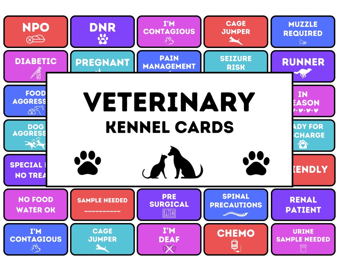 Veterinary Cage Cards Bright Palette Set Digital Vet Kennel Cards ...