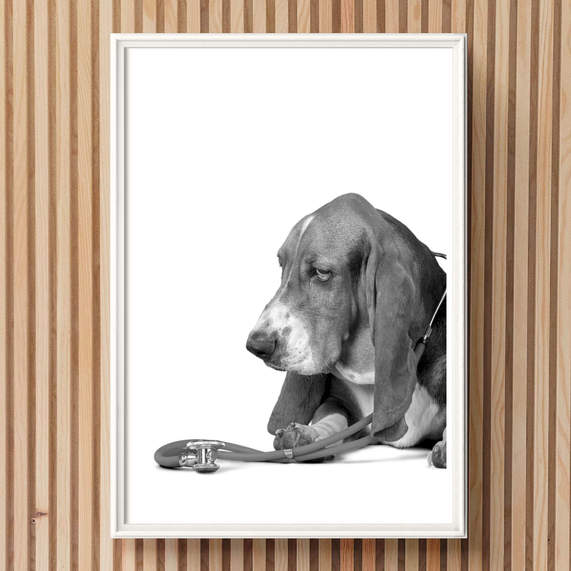 Doctor Pets Printable Wall Art Pet Stethoscope Wall Art Vet Stethoscope ...
