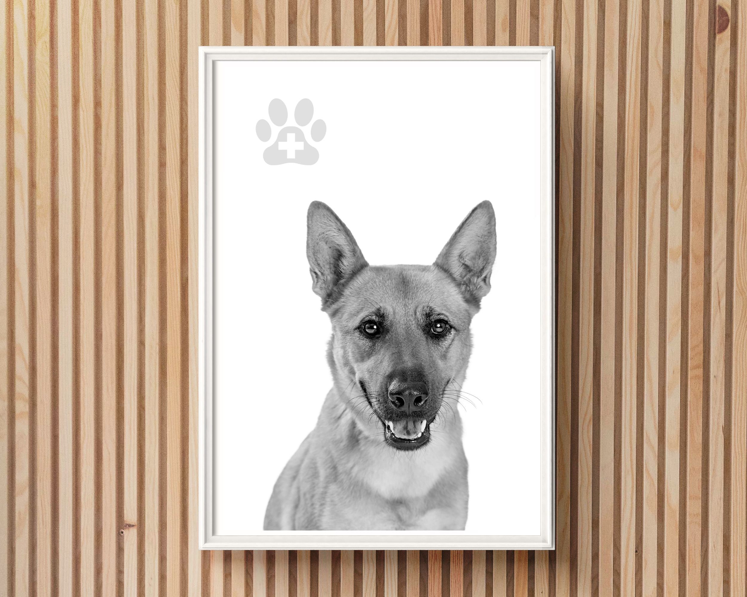 Dog Portrait Vet Printable Wall Art Veterinary Clinic Art Digital Dog ...