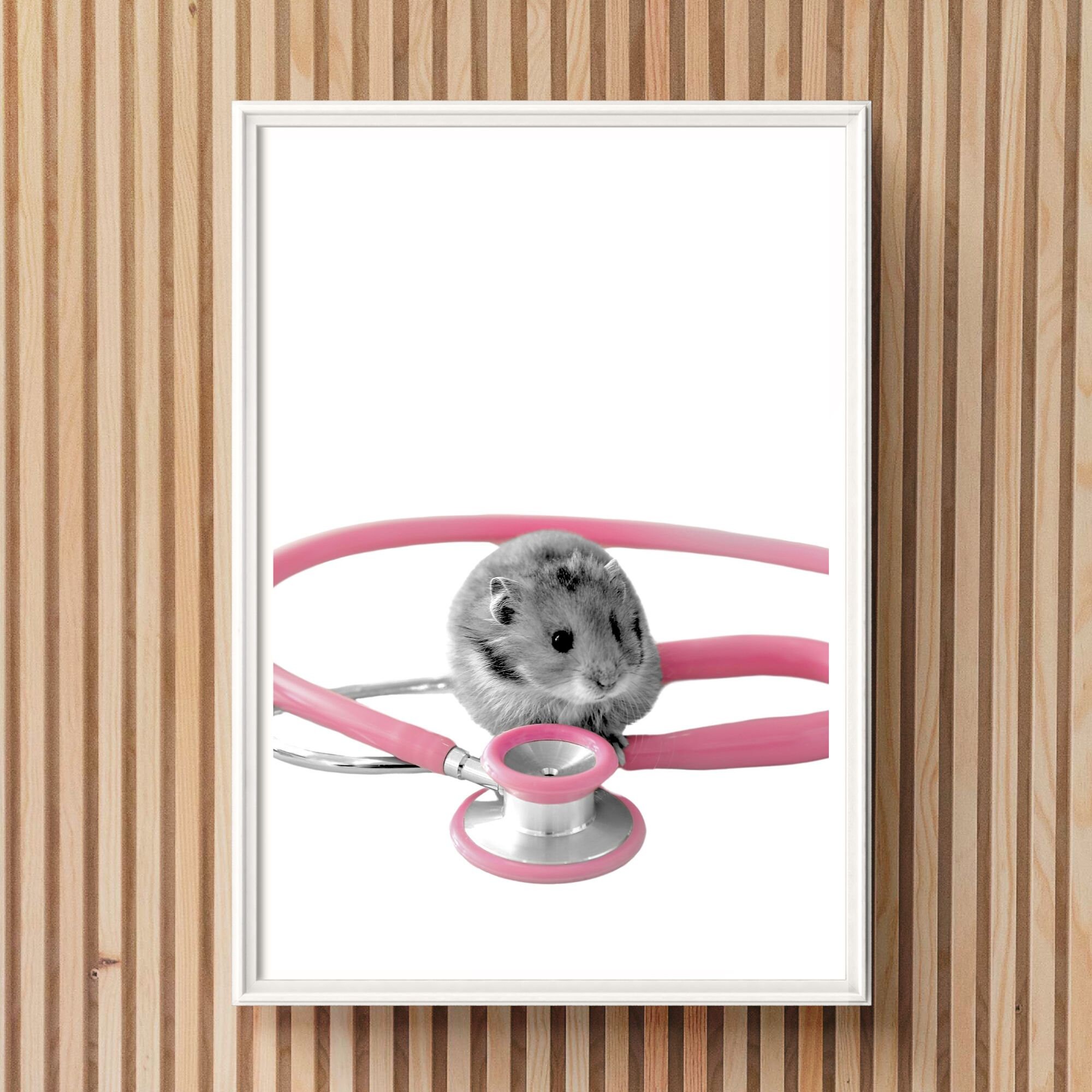 Small Pet Vet Trio Color Pop Printable Wall Art Small Pet Veterinary ...