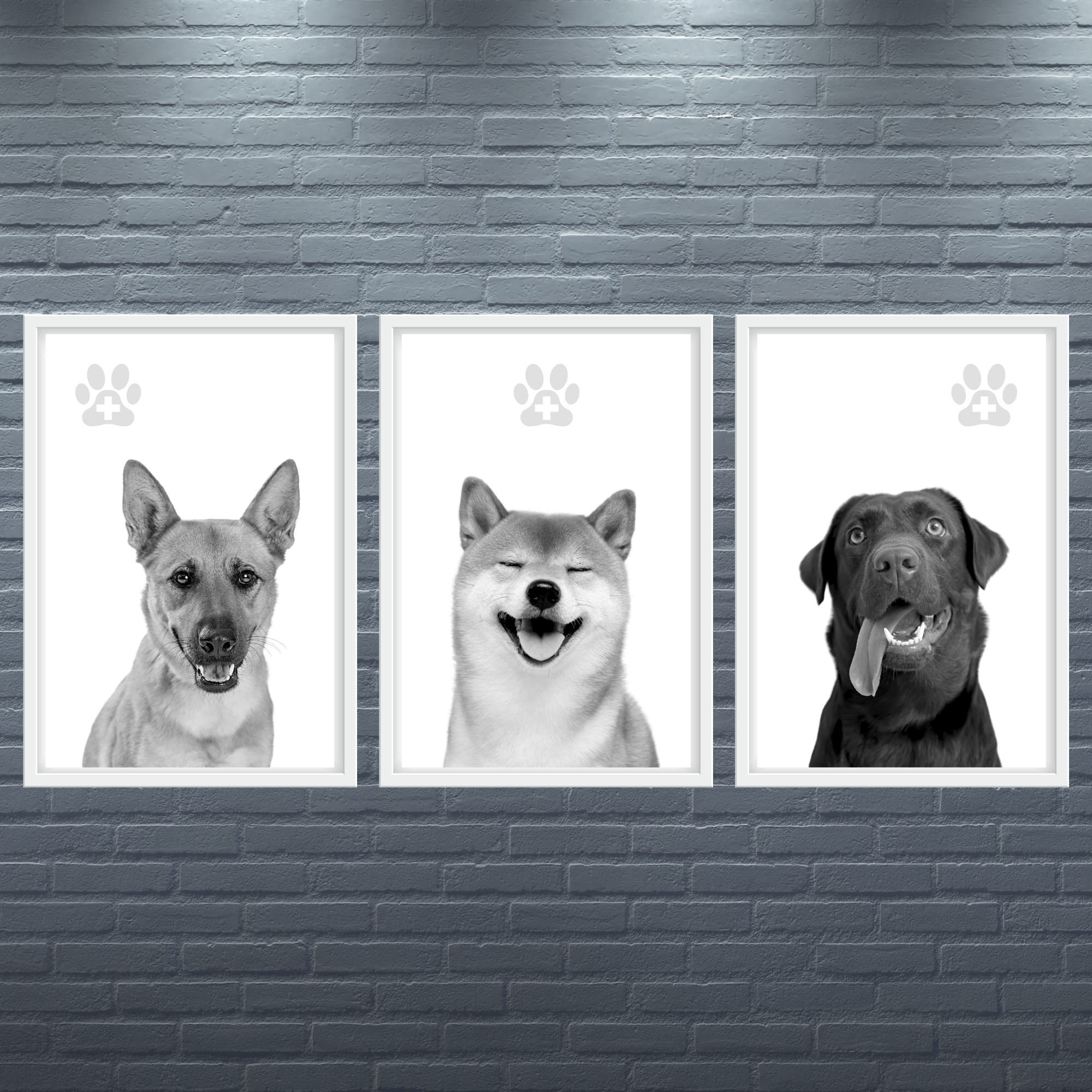 Dog Portrait Vet Printable Wall Art Veterinary Clinic Art Digital Dog ...