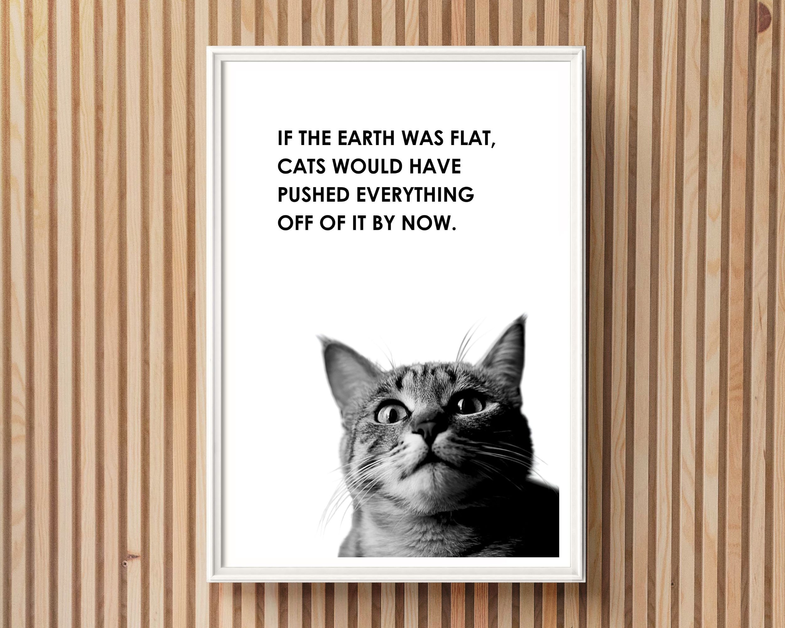Funny Cat Quote Printable Wall Art Funny Vet Quote Clinic Wall Art ...