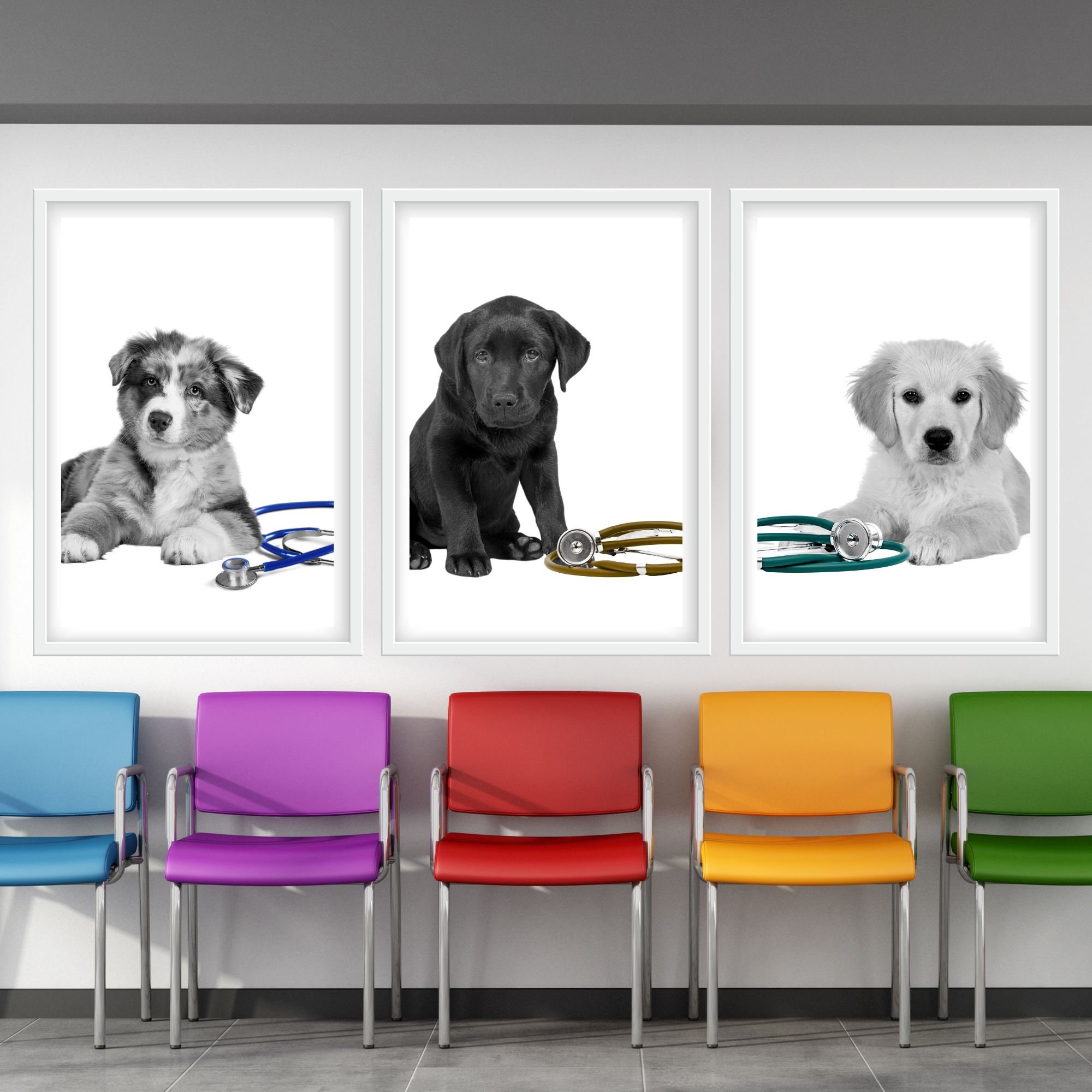 Puppy Stethoscope Color Pop Printable Wall Art Vet Stethoscope ...