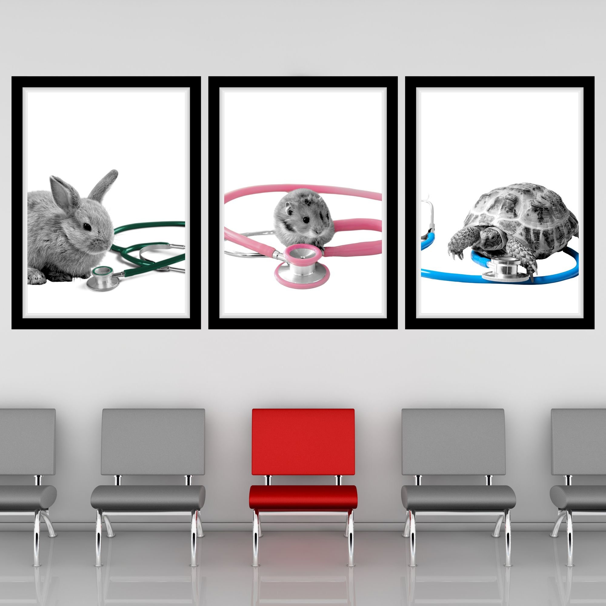 Small Pet Vet Trio Color Pop Printable Wall Art Small Pet Veterinary ...