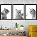 Peeking Cats Vet Clinic Printable Wall Art Cat Vet Office Decor ...