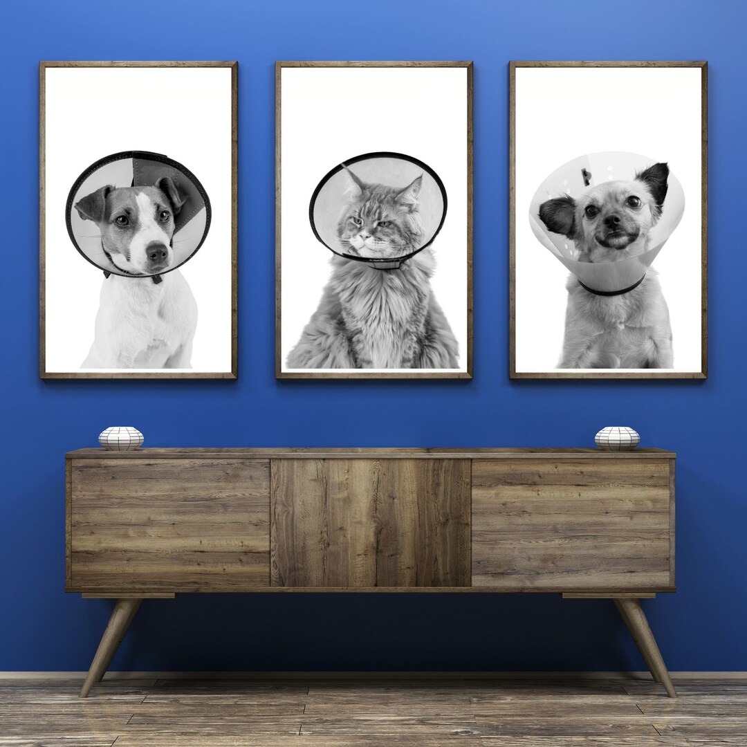 Pet Cone Vet Trio Printable Wall Art Cat and Dog Vet Wall Art Funny Pet ...