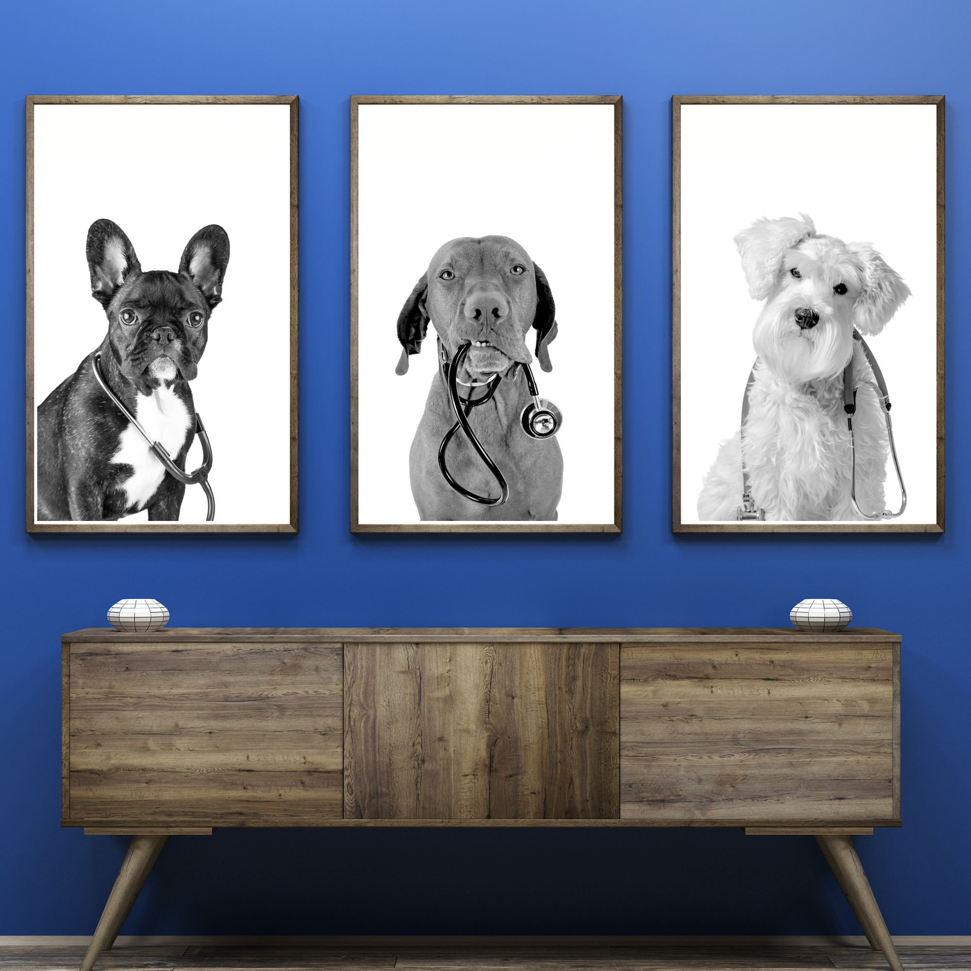 Dogs With Stethoscopes Printable Wall Art Dog Vet Med Wall Art Digital ...