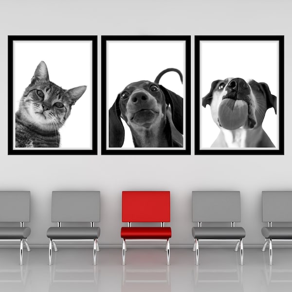 Cute Veterinary Signs - Etsy