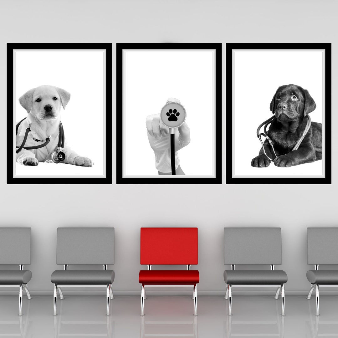 Puppy Doctor Trio Printable Wall Art Puppy Stethoscope Vet Office Decor ...