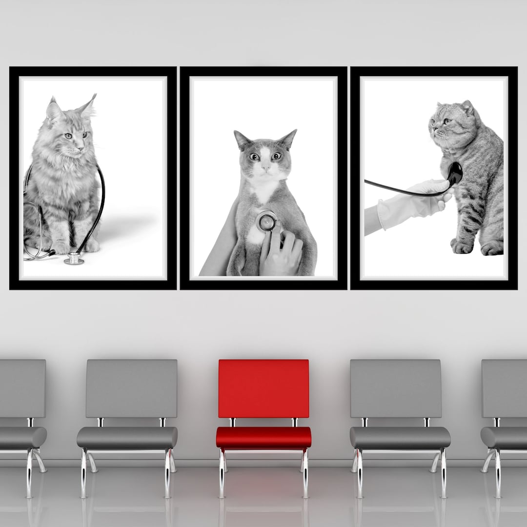 Cat Vet Med Printable Wall Art Cat Veterinary Clinic Wall Art Funny Cat ...
